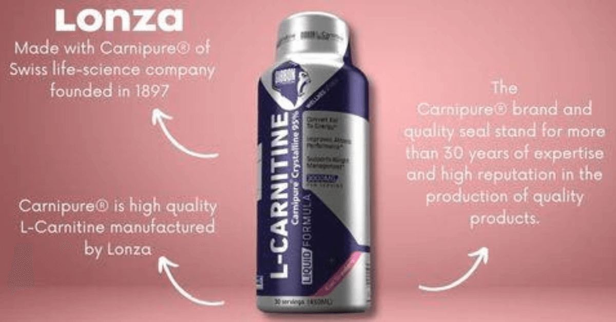 Best L-Carnitine in India – Gibbon India